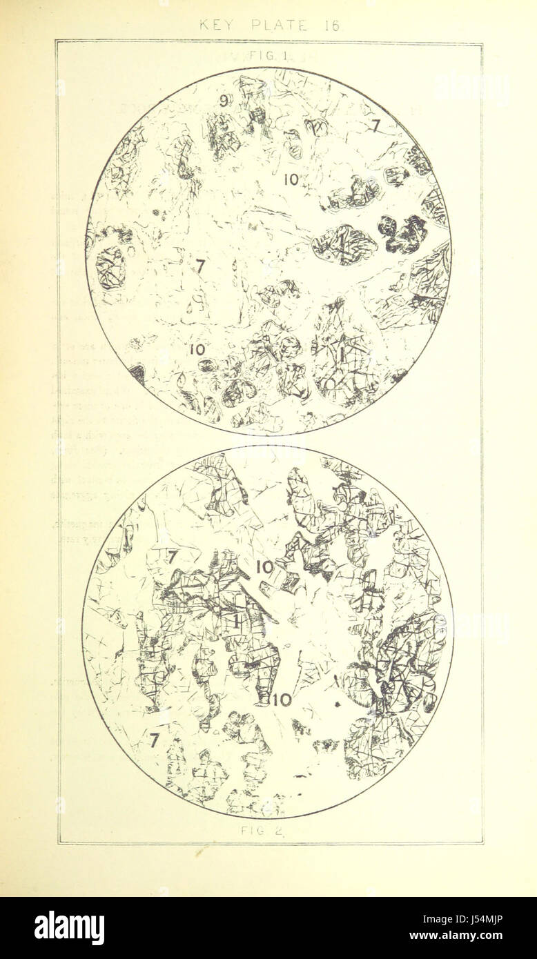 'British Petrography' is a comprehensive study of British rocks ...
