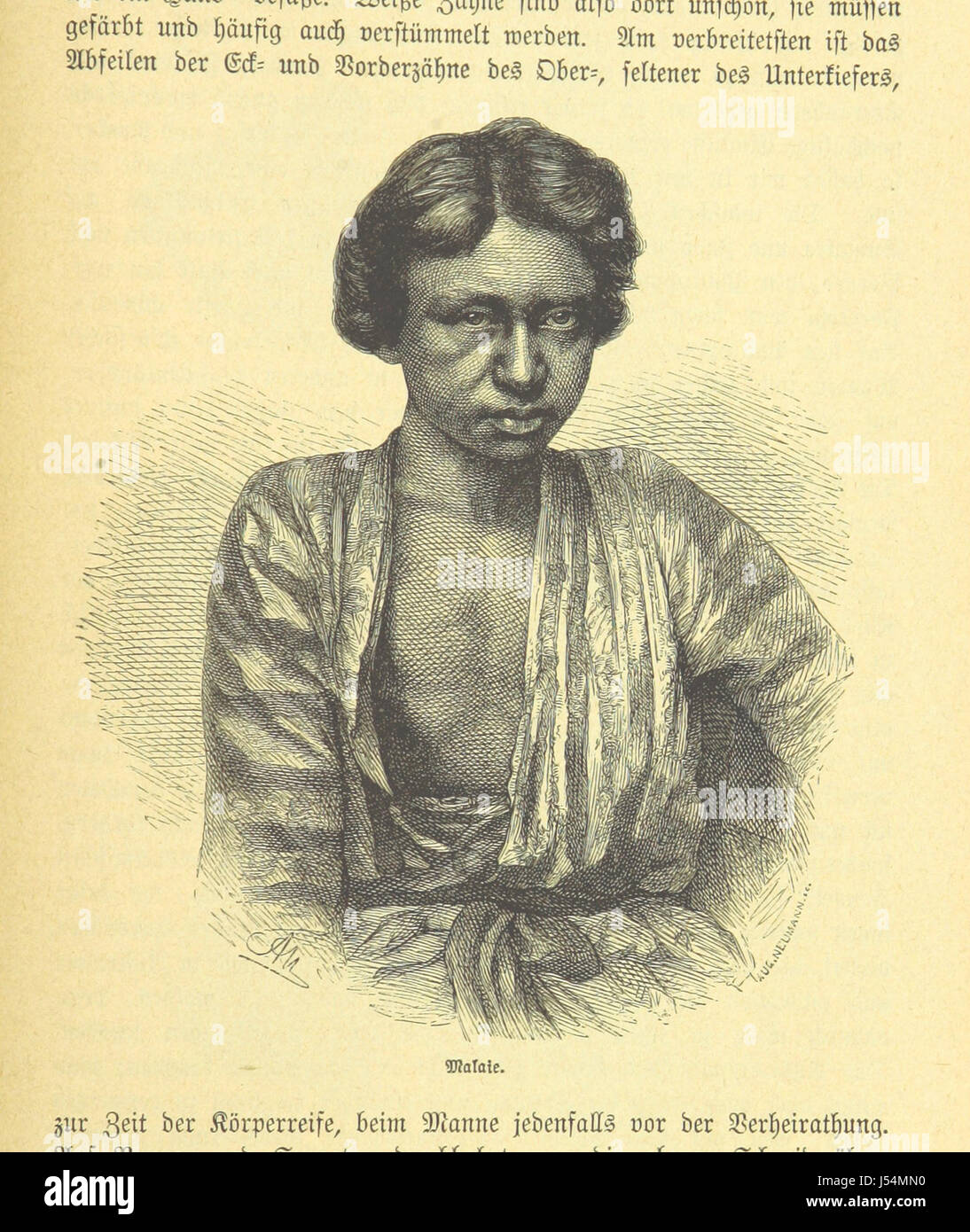 'Der Mensch und seine Rassen' is a German work exploring the concept of ...