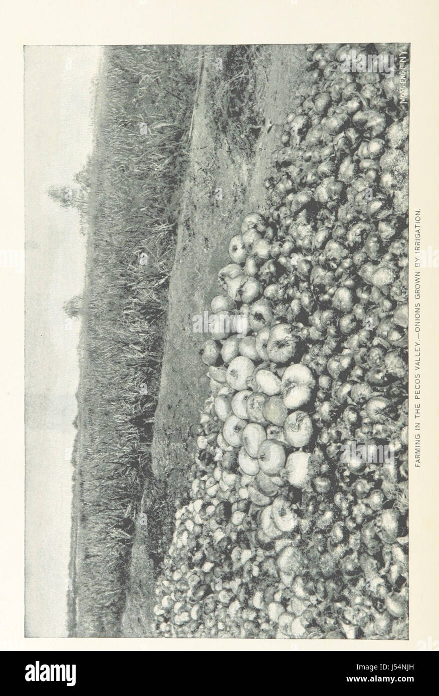 The Pecos Valley, the Fruit Belt of New Mexico. [Illustrated.] Stock ...