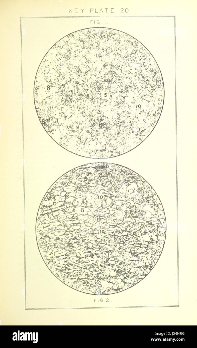 A scientific work on British petrography, focusing on igneous rocks and ...