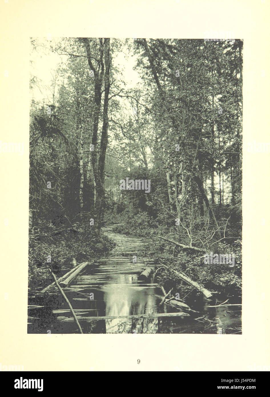 This image from a historical text features unknown content, potentially ...