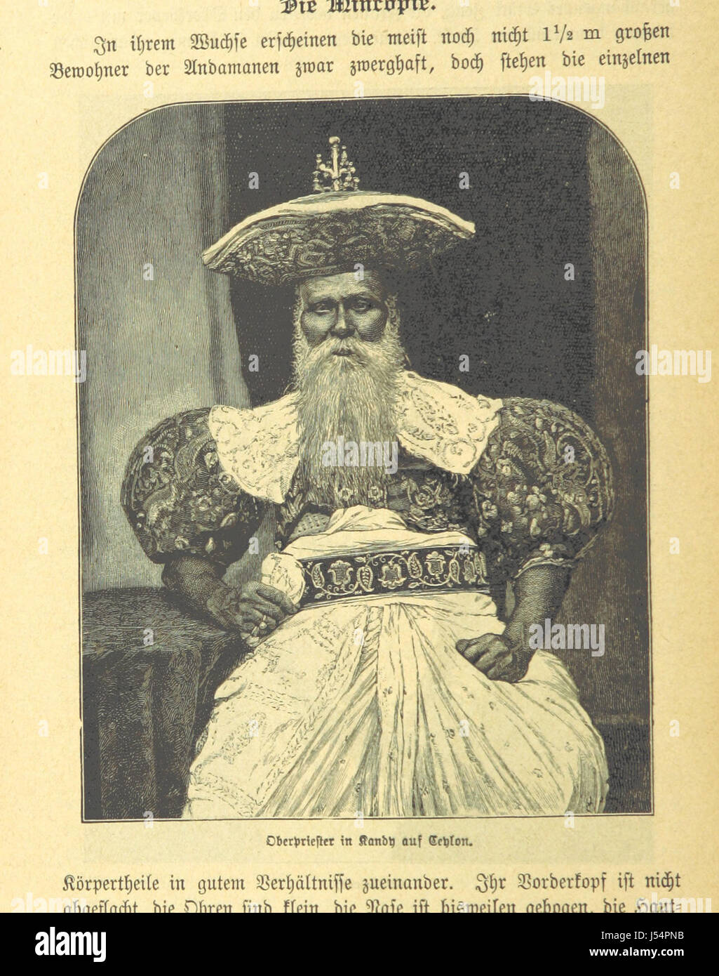 Der Mensch und seine Rassen. Mit ... Illustrationen Stock Photo - Alamy