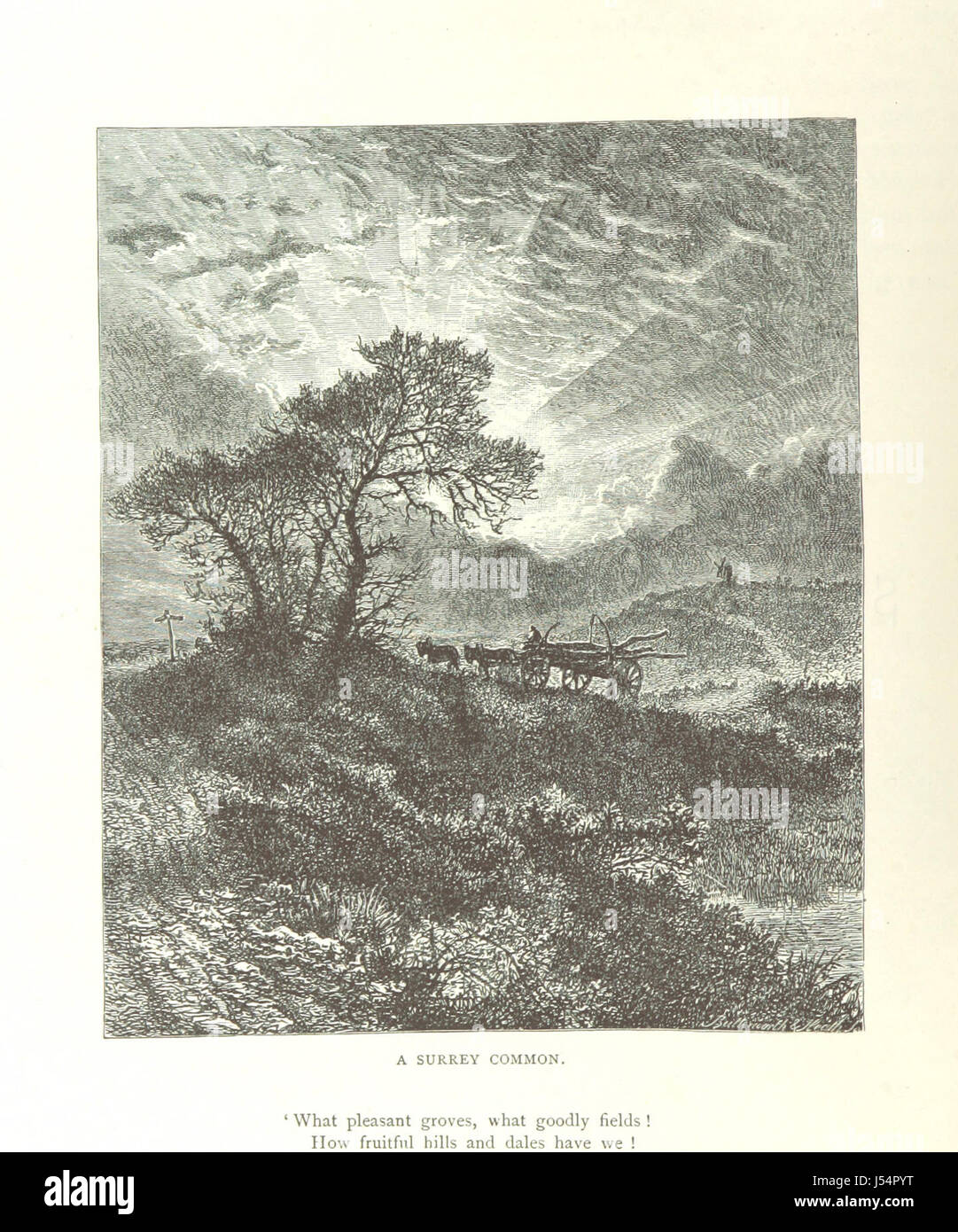 A collection of English pictures created using pen and pencil ...