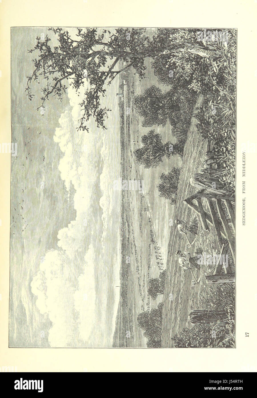 This descriptive, historical, and pictorial work offers an in-depth ...