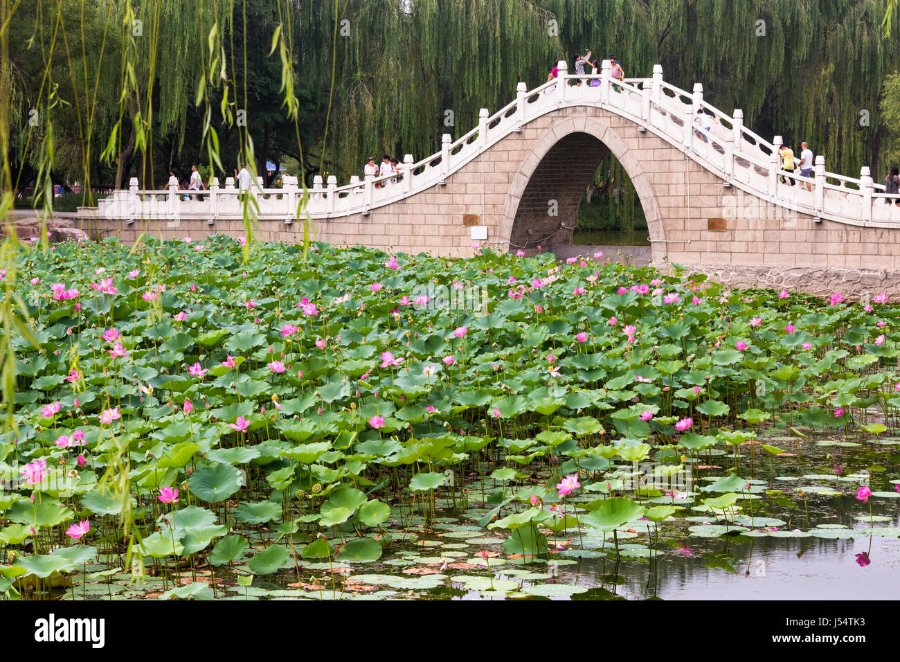 Zhongshan Park, Yinchuan, Ningxia, China Stock Photo - Alamy