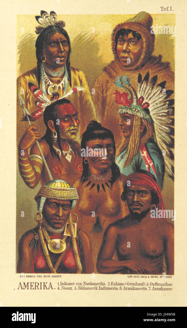 Der Mensch und seine Rassen. Mit ... Illustrationen Stock Photo - Alamy