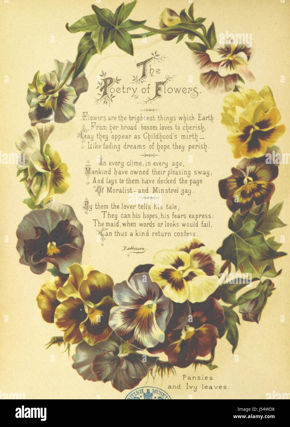 The book 'The Artistic Language of Flowers' explores the symbolic ...