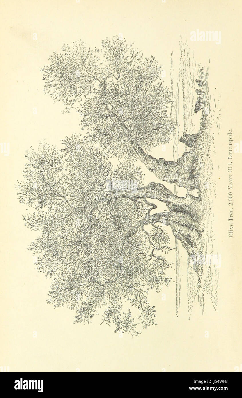 This work, titled 'The Land of Manfred,' explores the historical ...