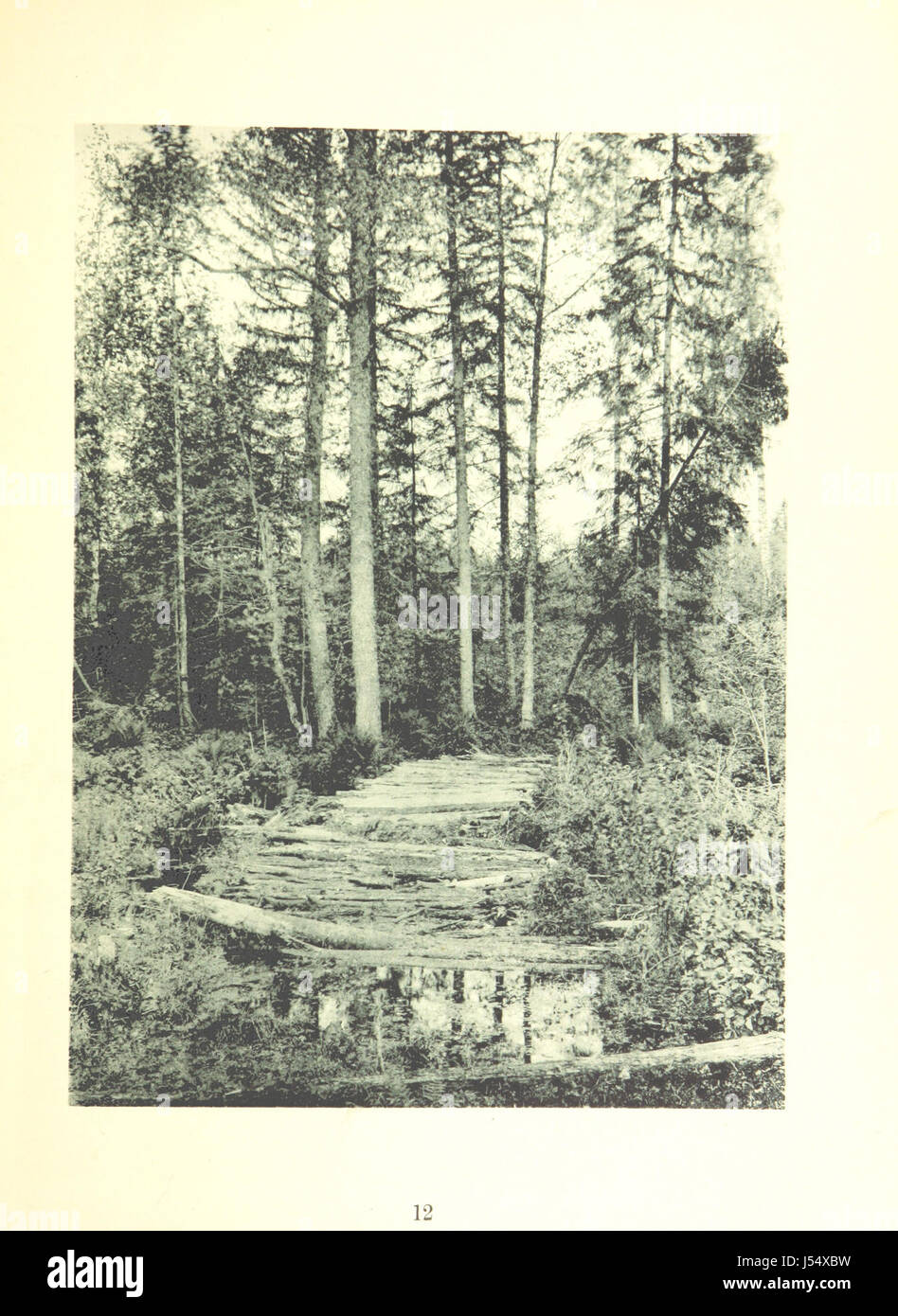 Character identification hi-res stock photography and images - Alamy