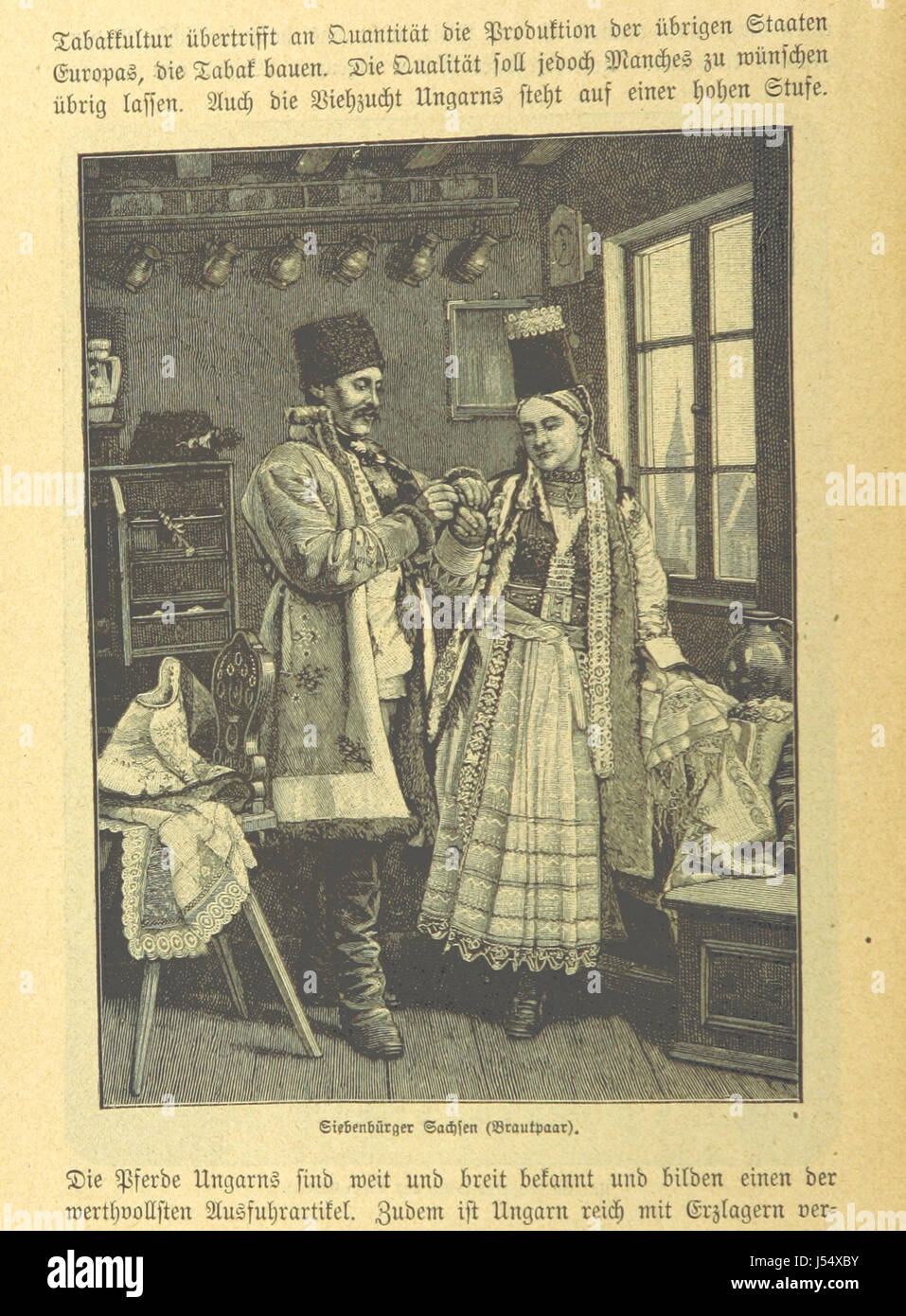 Der Mensch und seine Rassen. Mit ... Illustrationen Stock Photo - Alamy