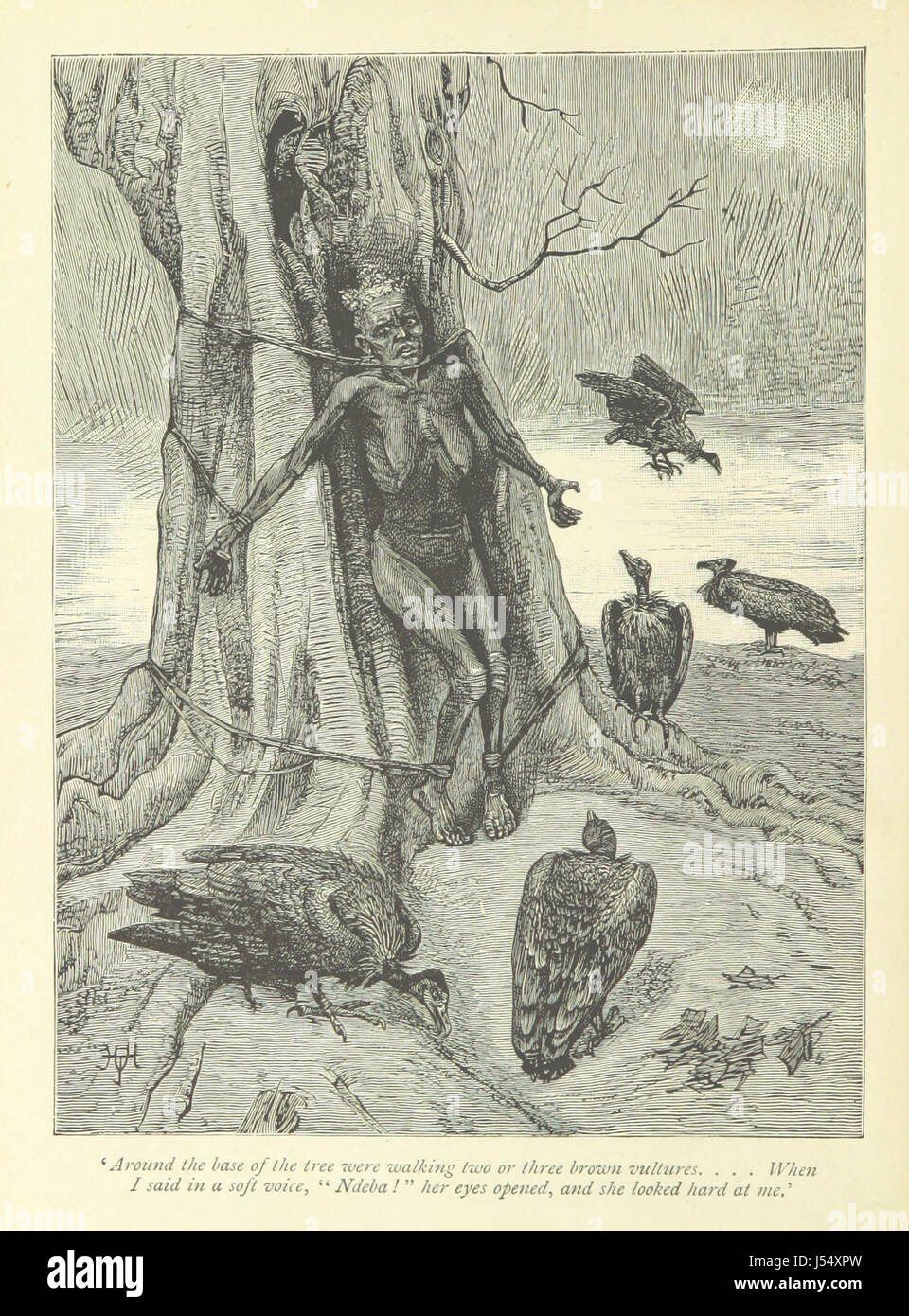 'The History of a Slave' is a narrative work illustrating the life of a ...