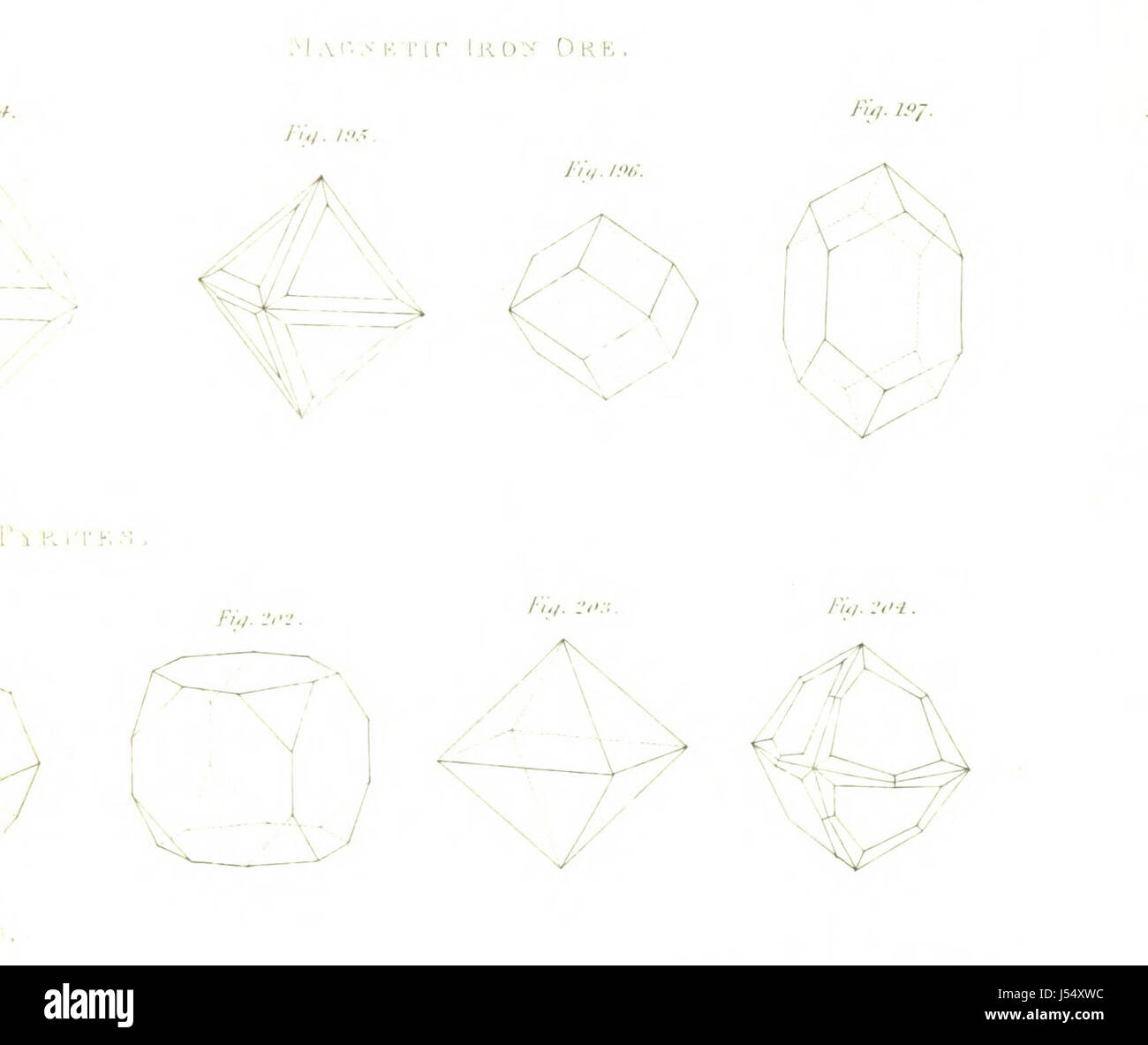 Detailed classification system Cut Out Stock Images & Pictures - Alamy