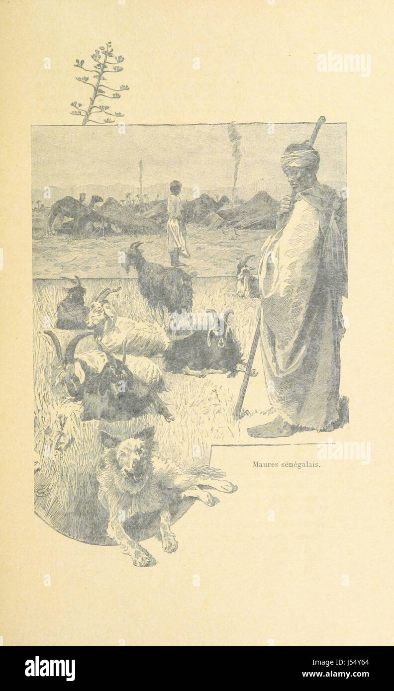An illustrated work about French Senegal and Sudan, showcasing images ...