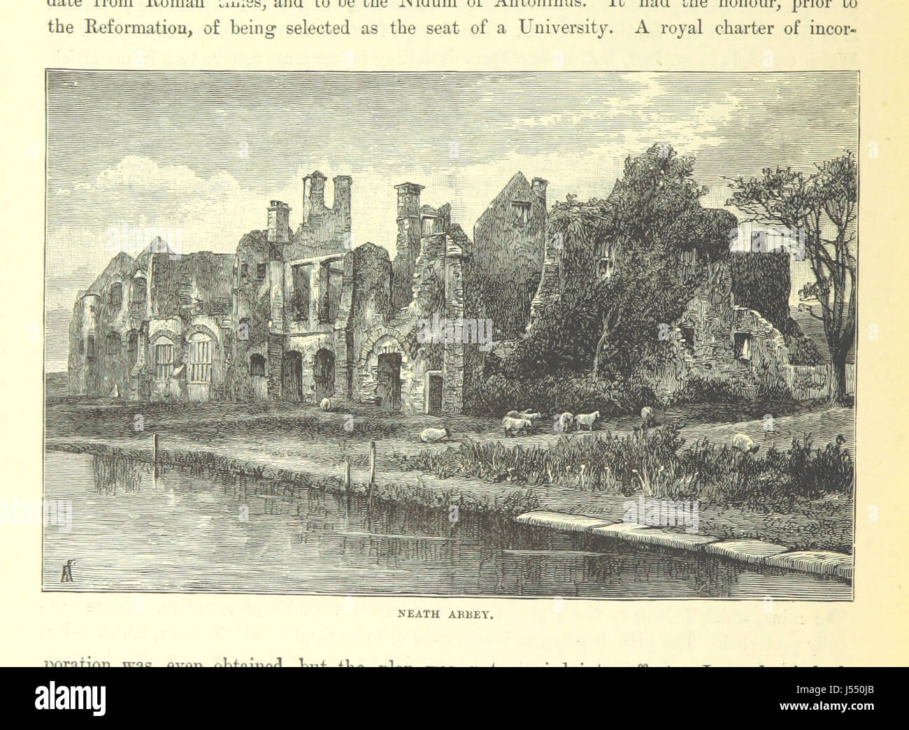 This work offers a descriptive, historical, and pictorial overview of a ...