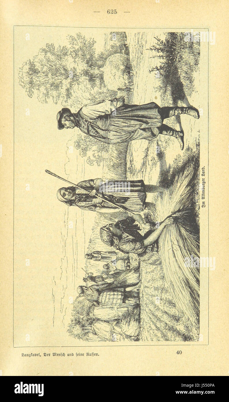 Der Mensch und seine Rassen. Mit ... Illustrationen Stock Photo - Alamy