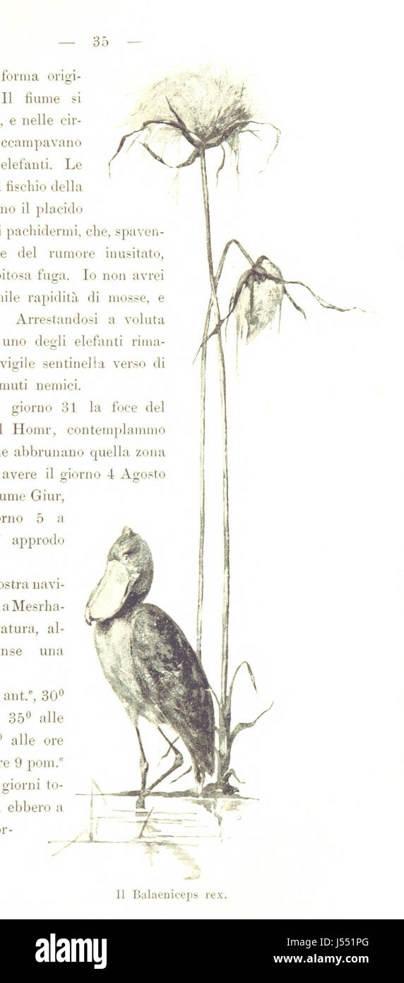 This book, titled 'Ten Years in Equatoria and Back with Emin Pasha ...