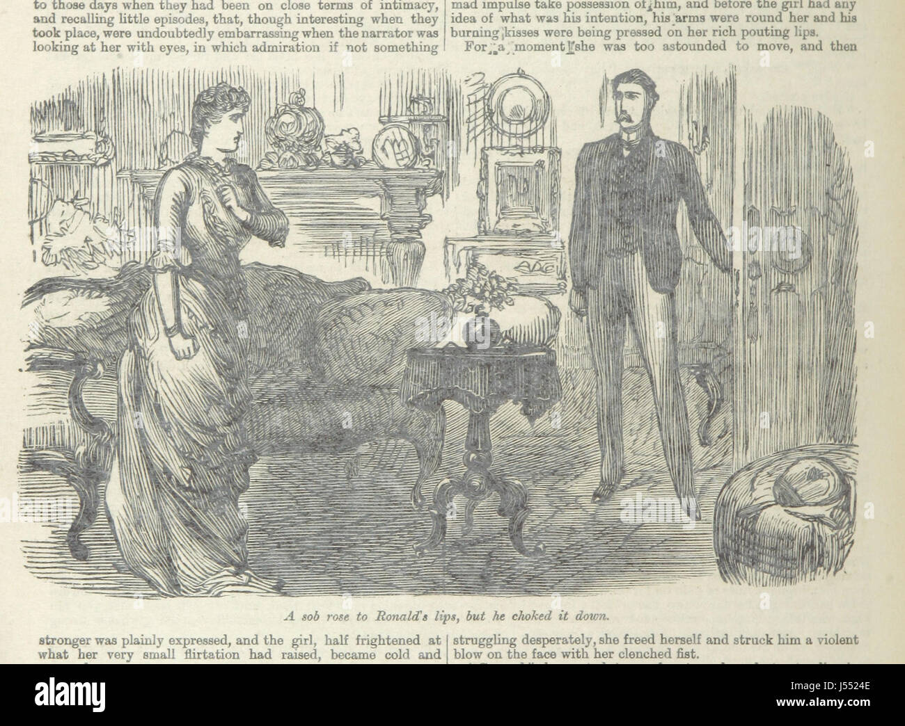 Guy Rayner's My Lady's Novellettes Stock Photo - Alamy