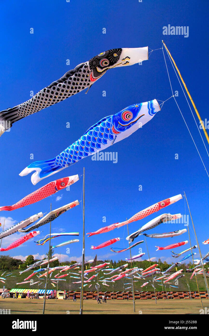 Koinobori Carp Streamers at Hachiojiyama Koen Park Ota city Gunma Japan ...