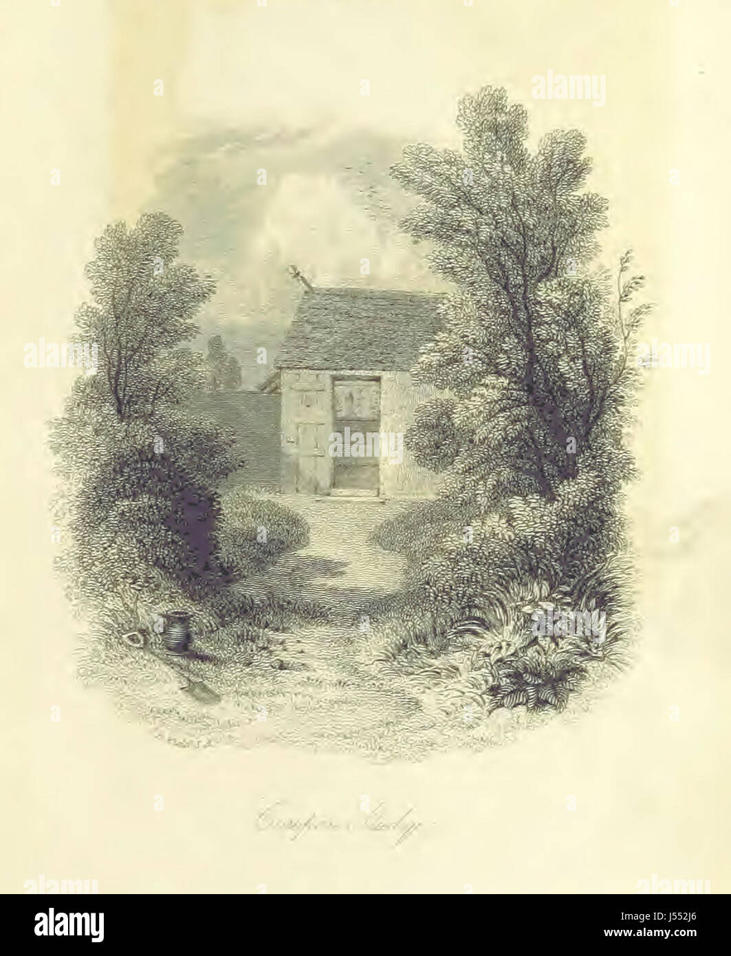 The Miscellaneous Works of William Cowper ... With a life and notes, by ...