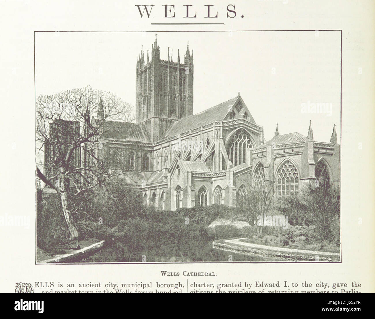 This illustrated guide offers an in-depth look at local trades and ...