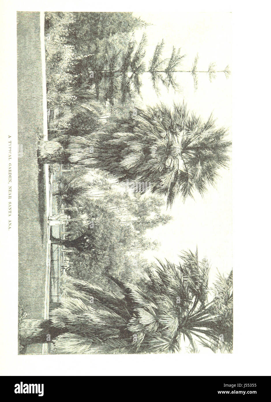 This image from 'A Year in Italy' captures Californiaâ€™s landscape ...