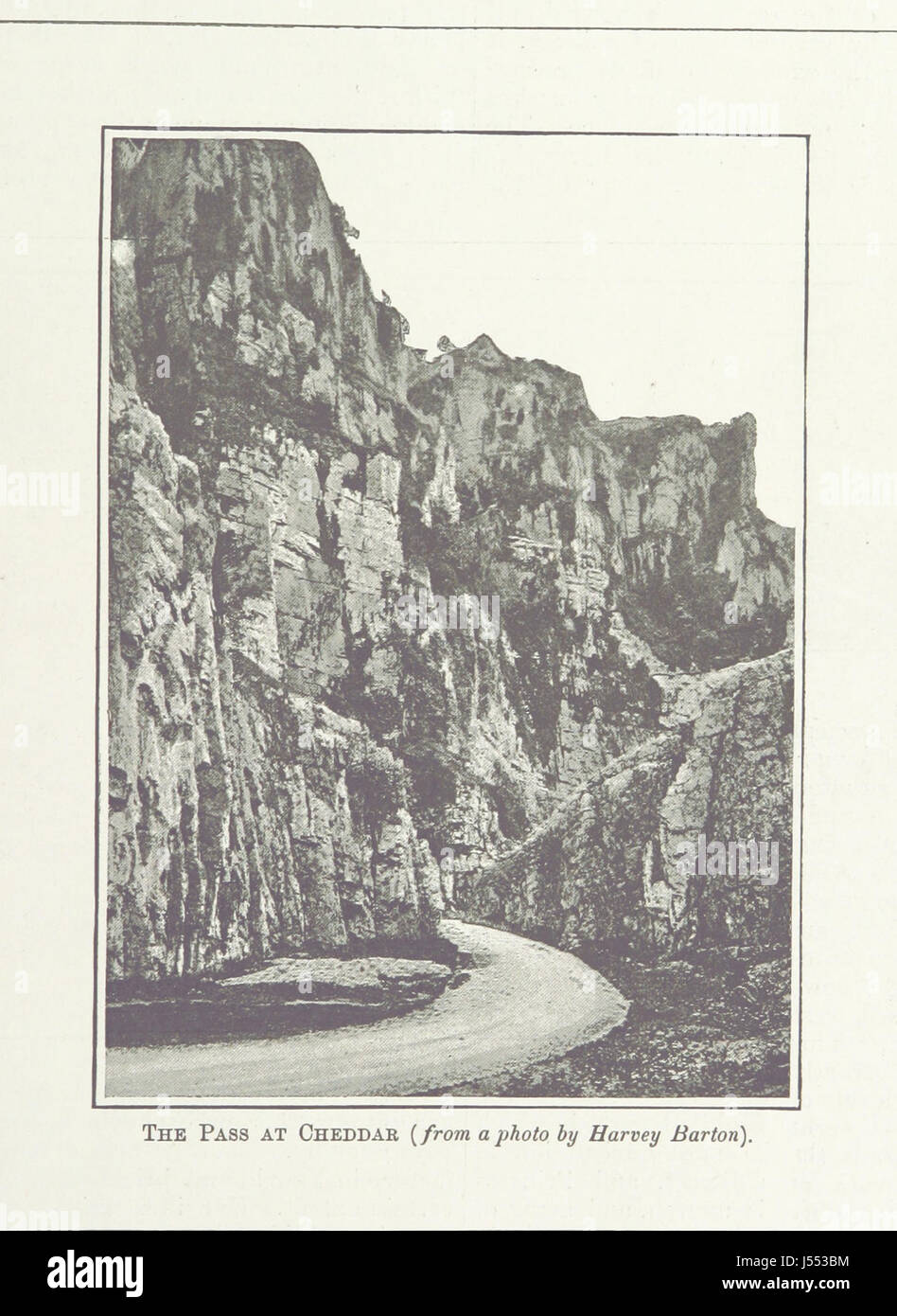 A local guide to purchasing in Torquay, featuring trades, shops, and ...