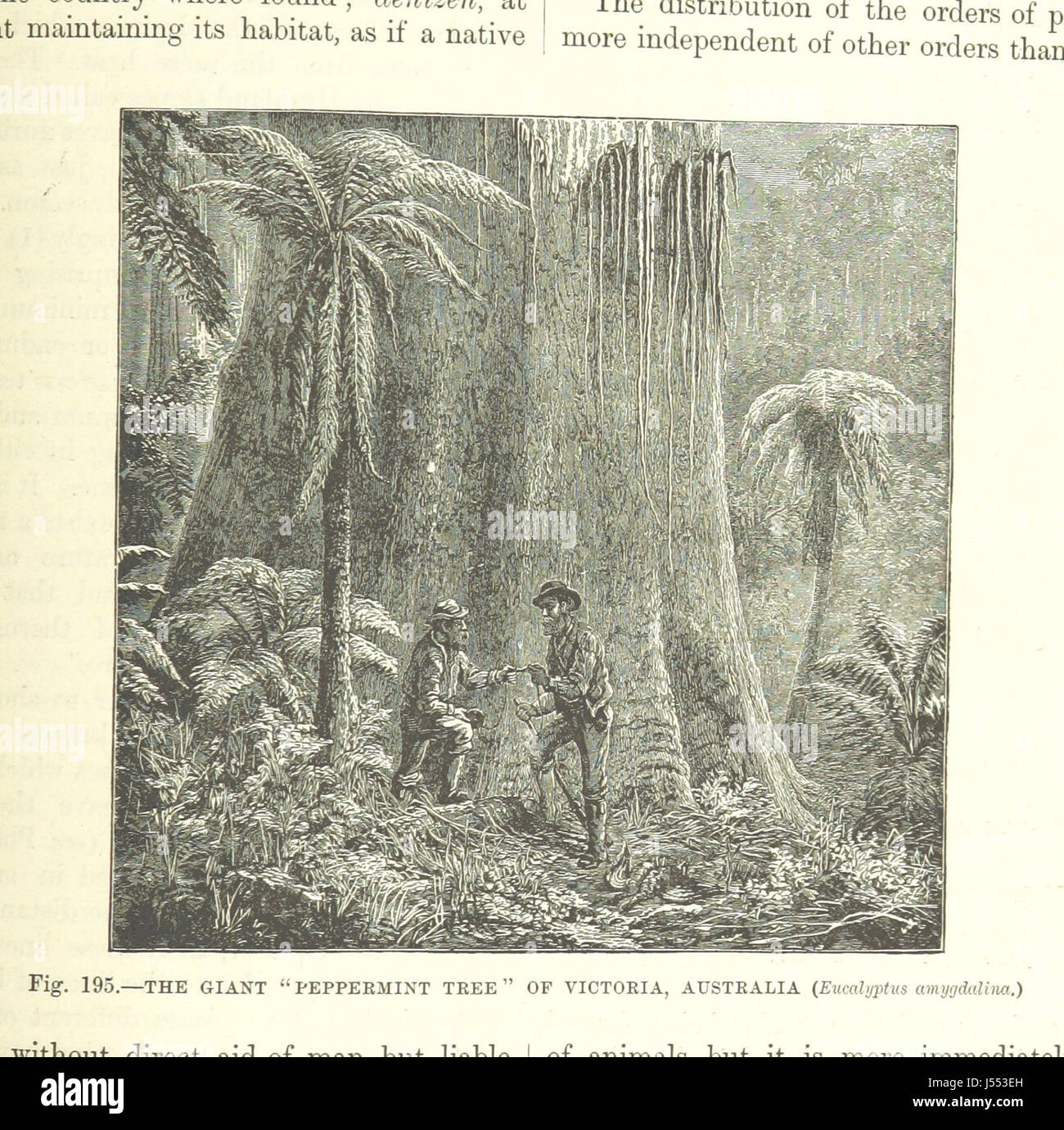 'Our Earth and its Story' is a work on physical geography edited by R ...