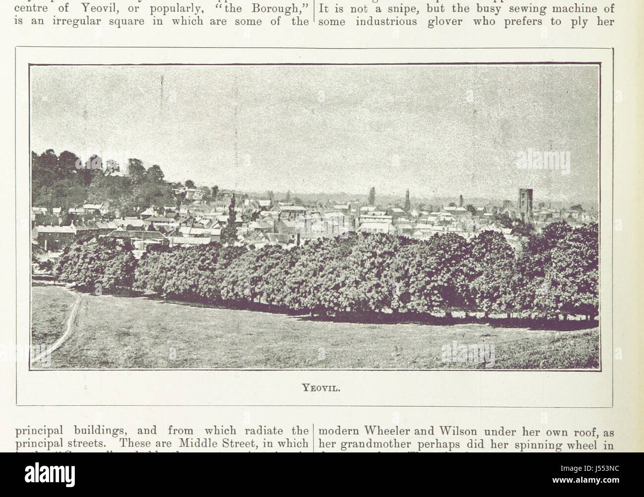 This illustrated guide provides an overview of local trades and ...