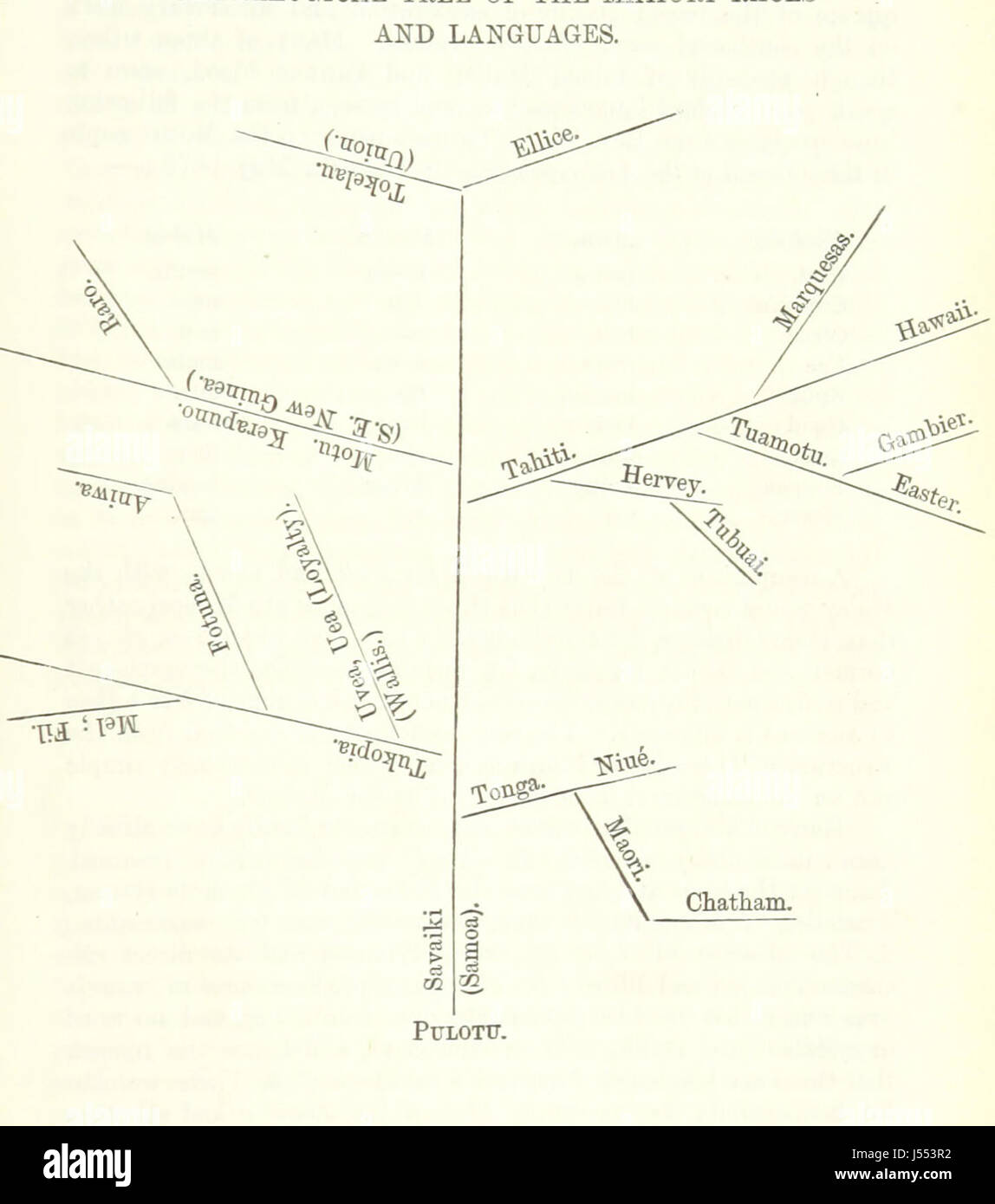 Stanford's Compendium of Geography and Travel ... Australasia. Edited ...