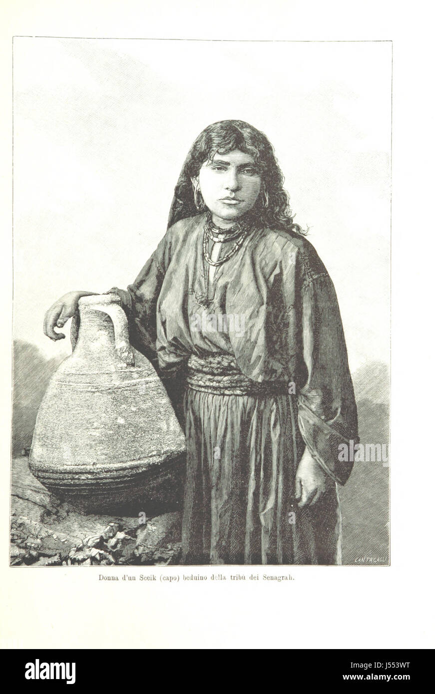 'All'Oasi di Giove Ammone' is an Italian travelogue featuring 164 ...