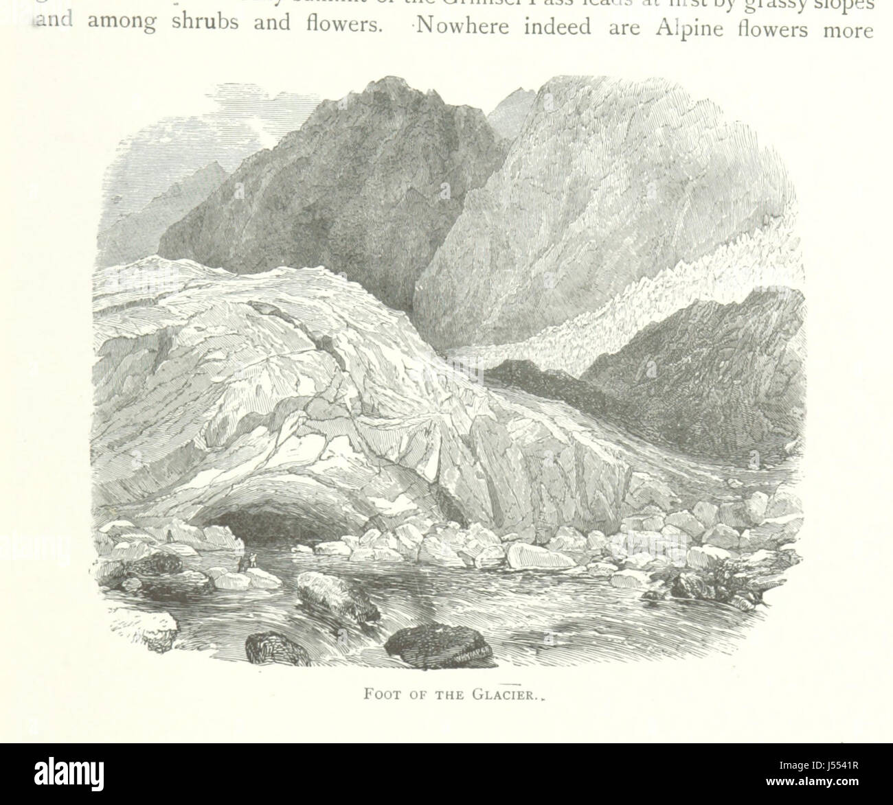 This book presents Swiss landscapes illustrated with pen and pencil ...
