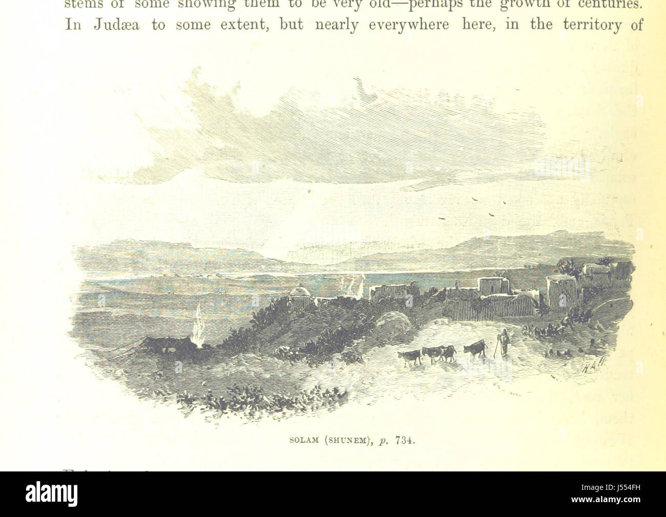 [The Holy Land and the Bible. A book of Scripture illustrations ...