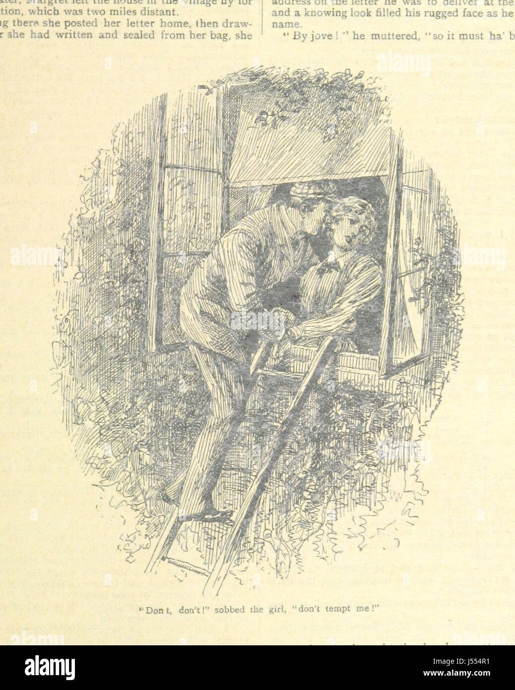 A collection of biographies or personal stories written to entertain or ...