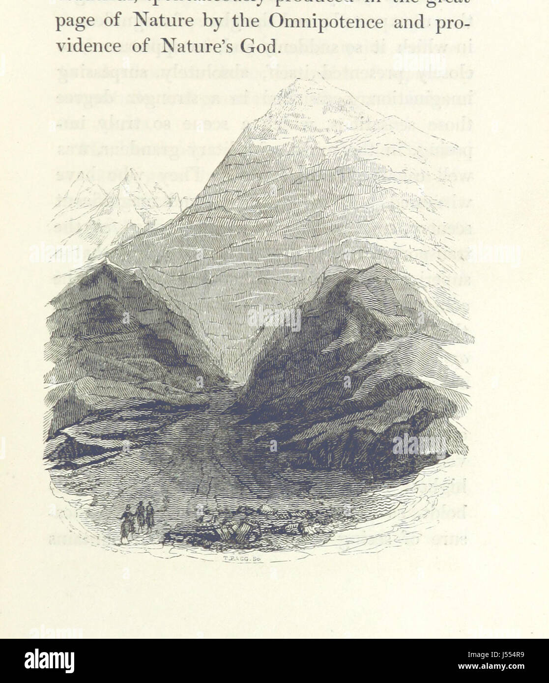 Various parts hi-res stock photography and images - Alamy