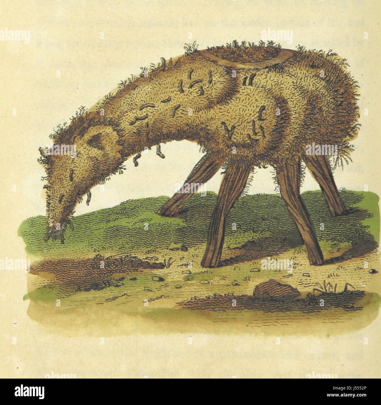 Erasmus garden hi-res stock photography and images - Alamy