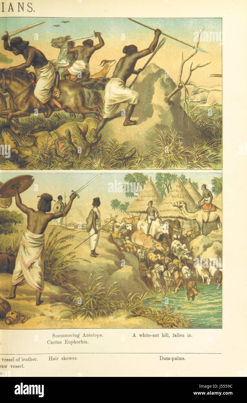 German features hi-res stock photography and images - Alamy