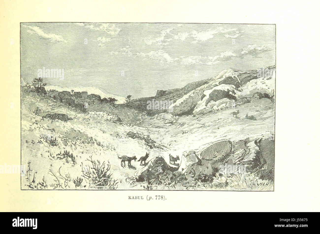 Page 795 hi-res stock photography and images - Alamy