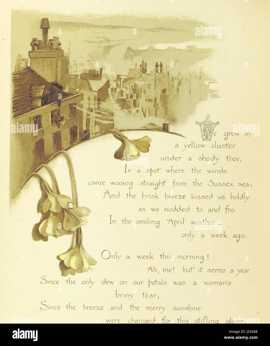 A Bunch of Primroses. [A poem.] ... Illustrated, etc Stock Photo - Alamy