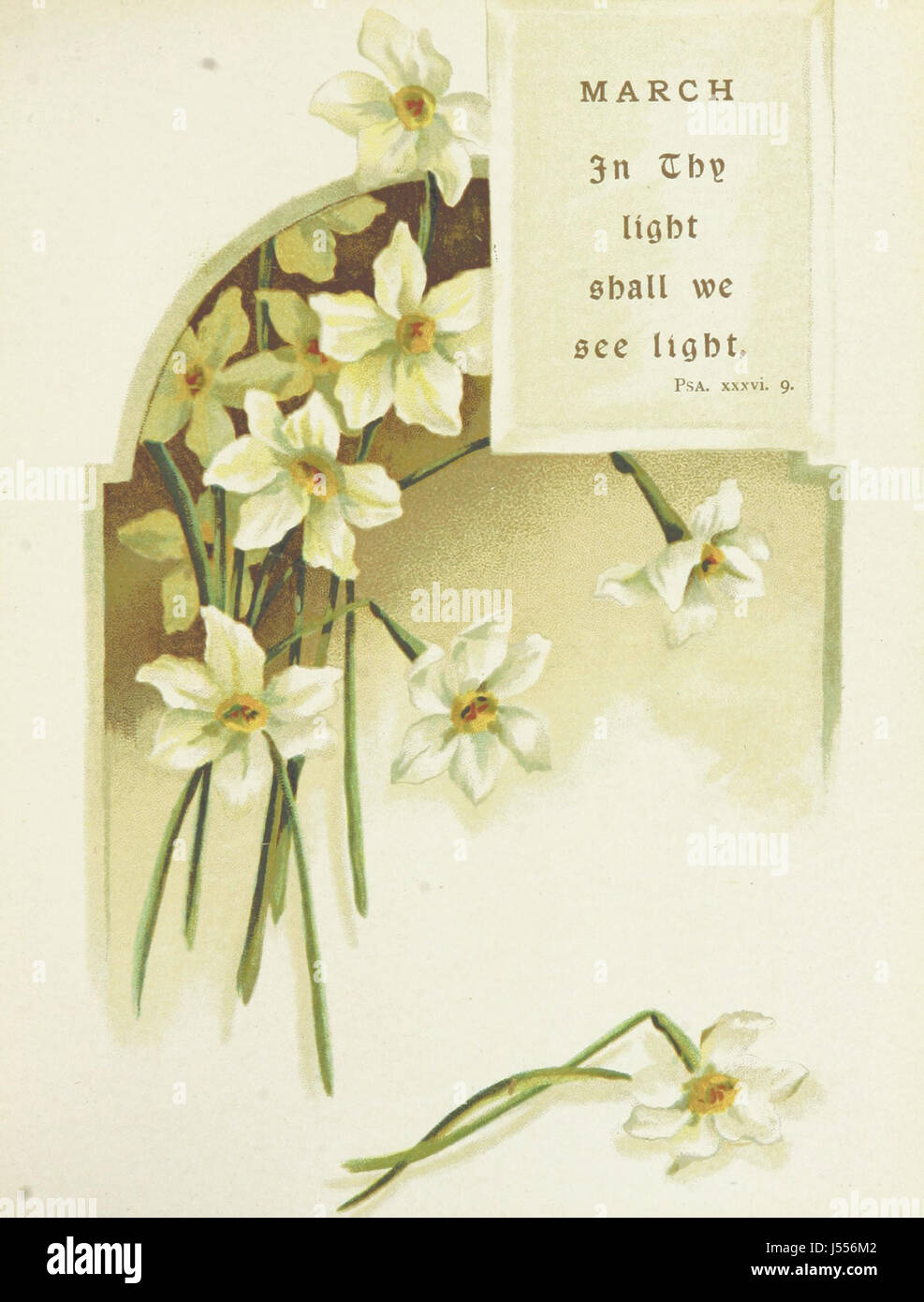 Mottoes hi-res stock photography and images - Alamy