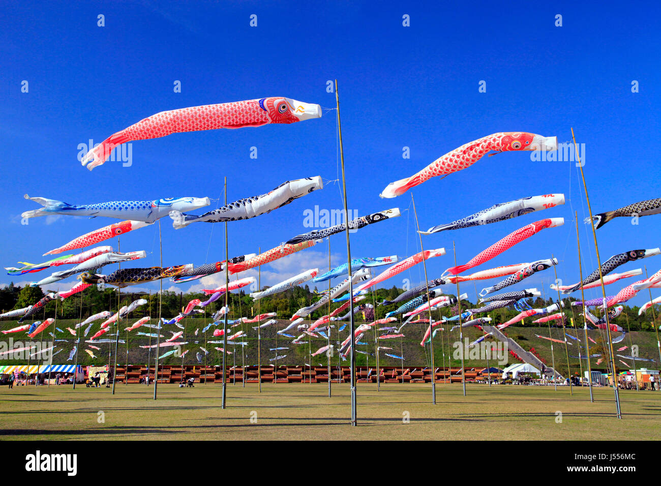 Japanese fish shaped streamer hi-res stock photography and images - Alamy