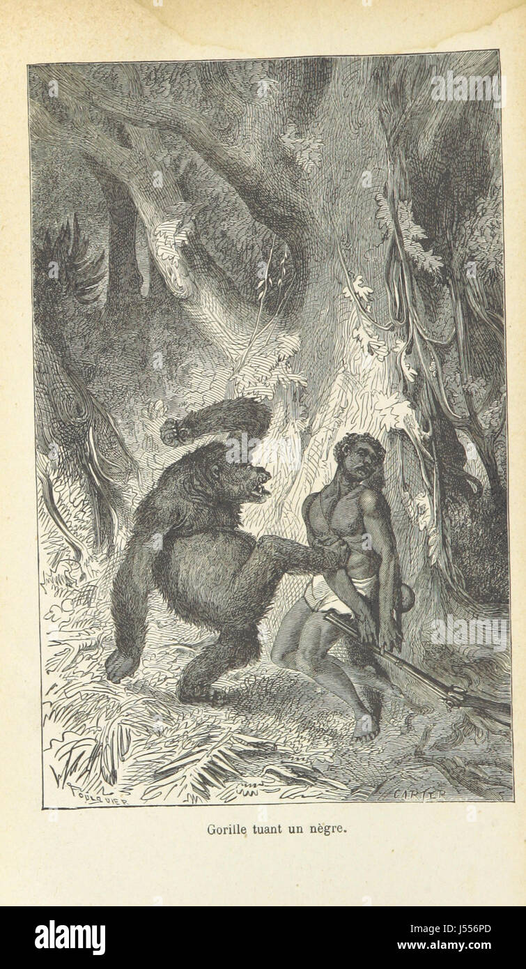 A historical depiction of the Congo during the colonial era ...