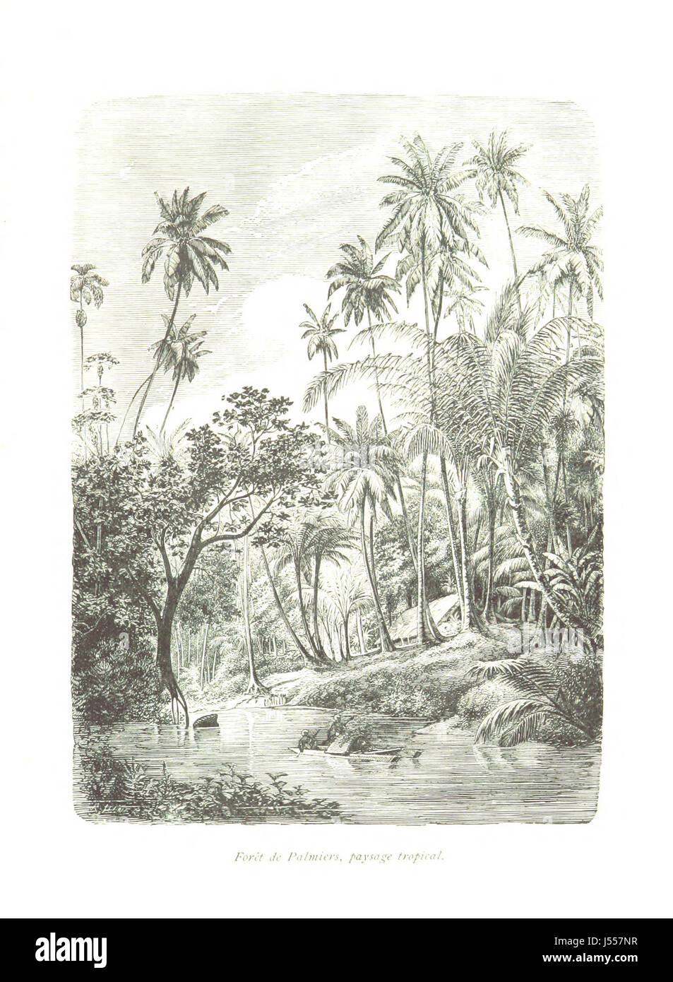 Second edition illustrated Cut Out Stock Images & Pictures - Alamy