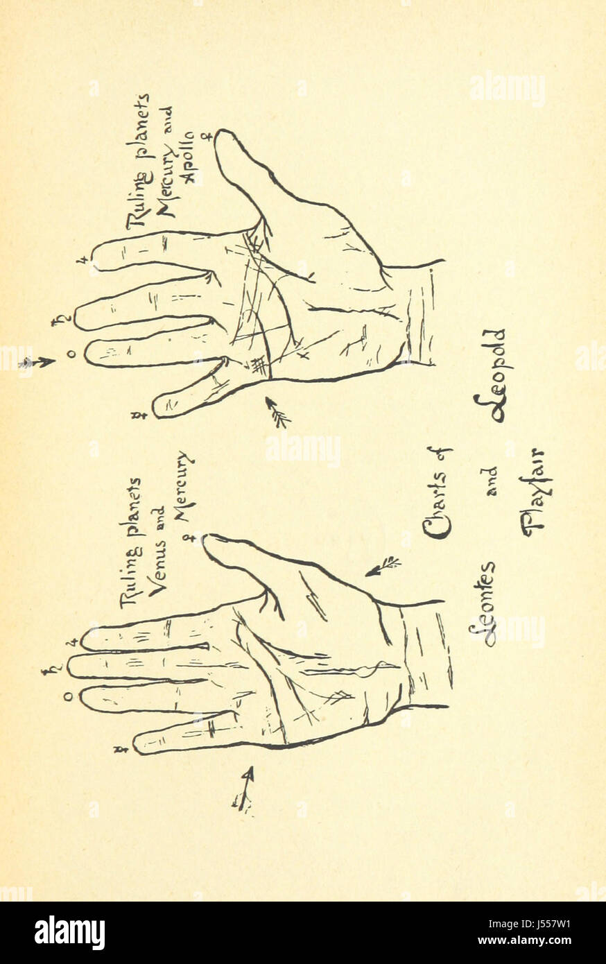Palm reading palmistry hi-res stock photography and images - Alamy