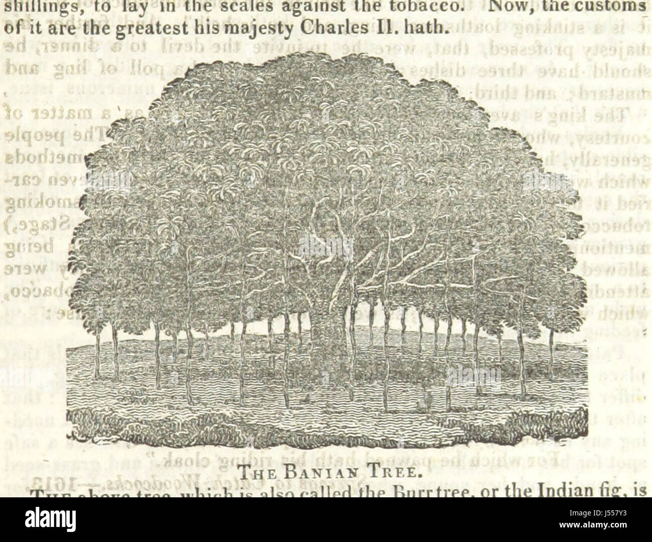 This work compiles global customs, biographies, histories, and unique ...