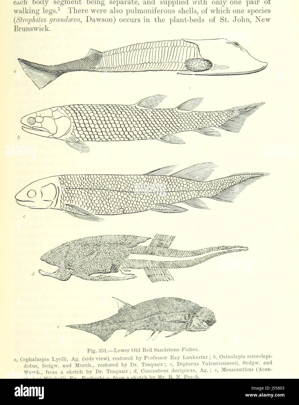 The 'Text-book of Geology' provides a comprehensive study of geological ...