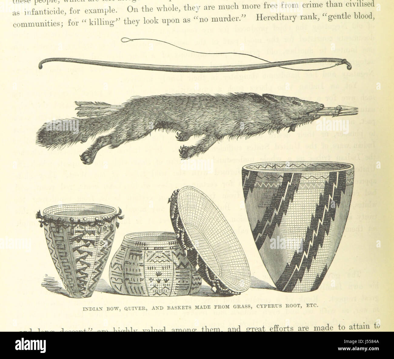 'The Peoples of the World' offers a detailed description of human ...