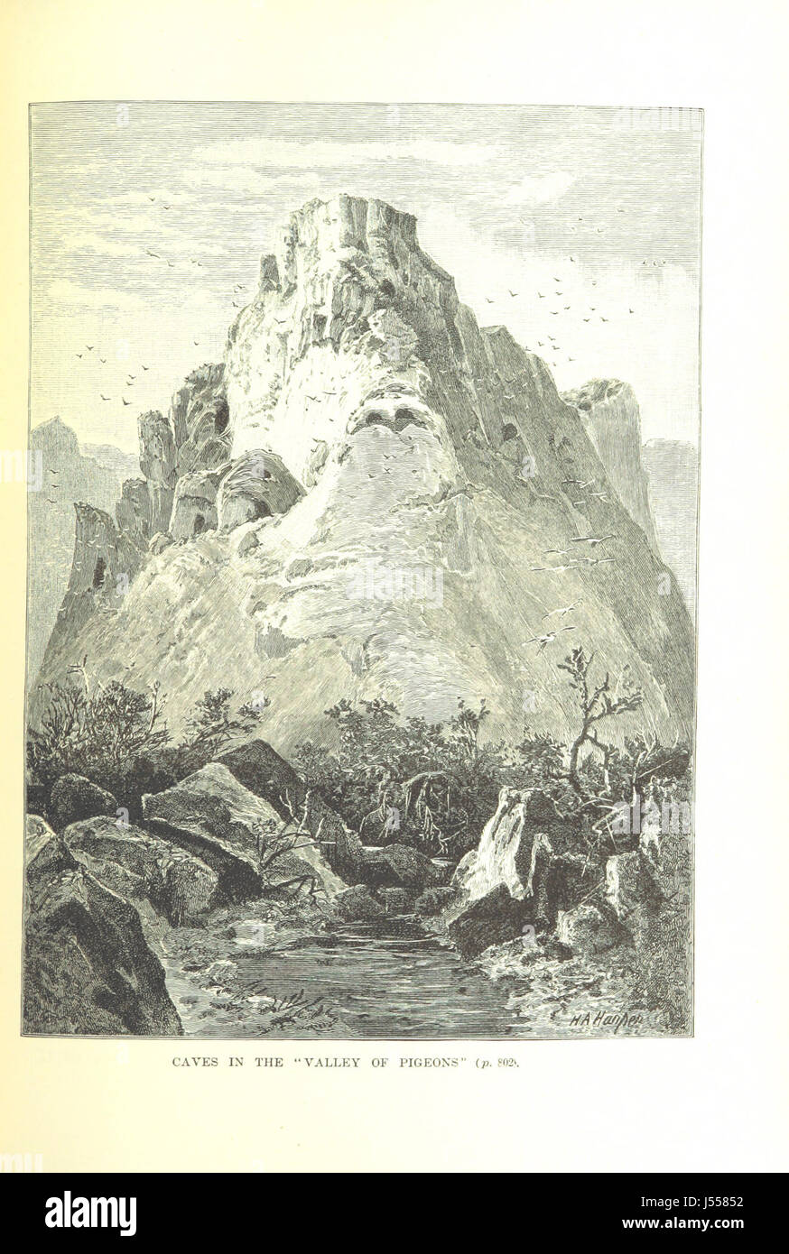 [The Holy Land and the Bible. A book of Scripture illustrations ...