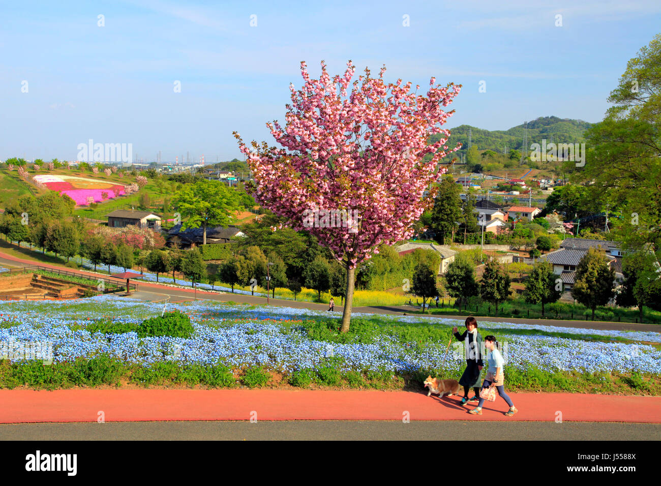 Hachiojiyama Koen Park Ota city Gunma Japan Stock Photo - Alamy