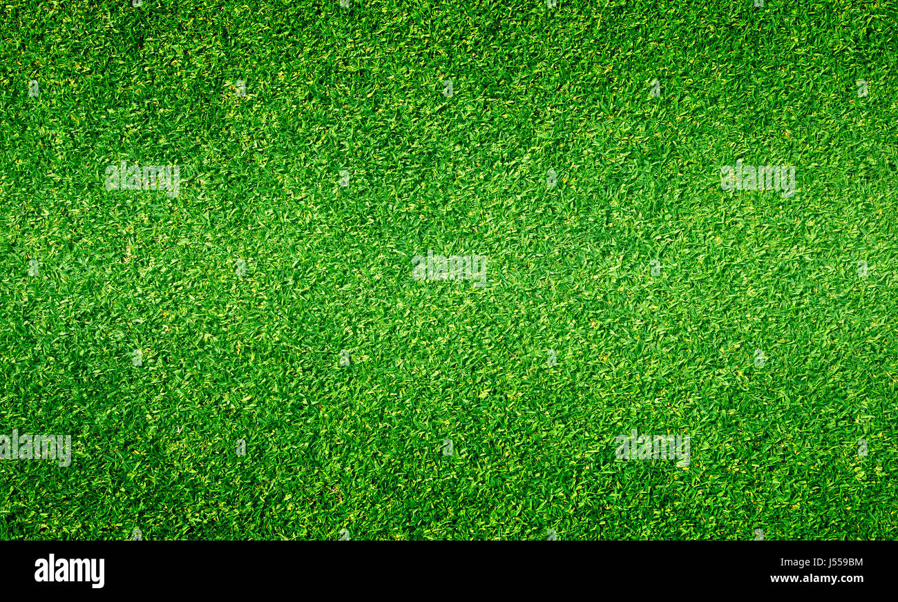 grass background Golf Courses green lawn pattern textured background ...