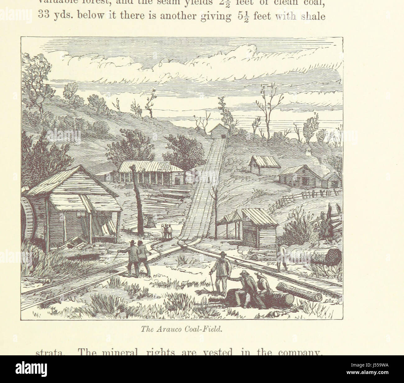 This work describes a visit to Chileâ€™s nitrate fields in the TarapacÃ ...